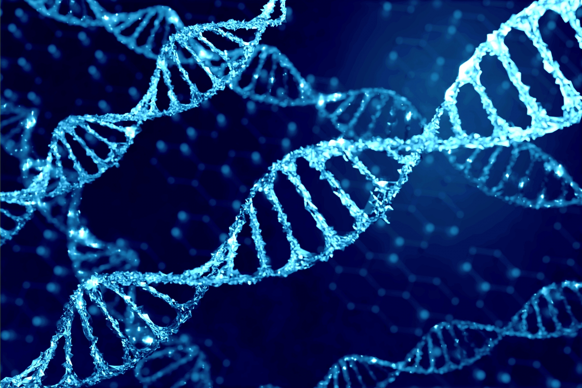 DNAフィンガープリント技術（DNA指紋法）